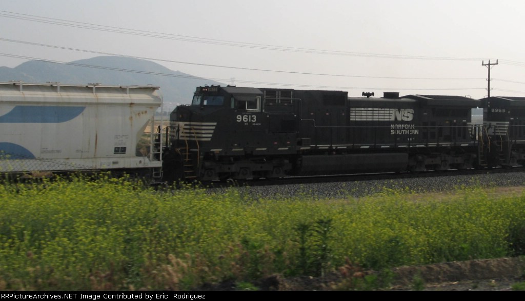 NS 9613